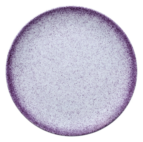 Bauscher Hepp 711228-730252 Plate