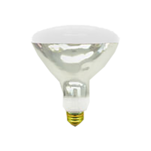 Baselite Corporation 250WCC Heat Lamp Bulb