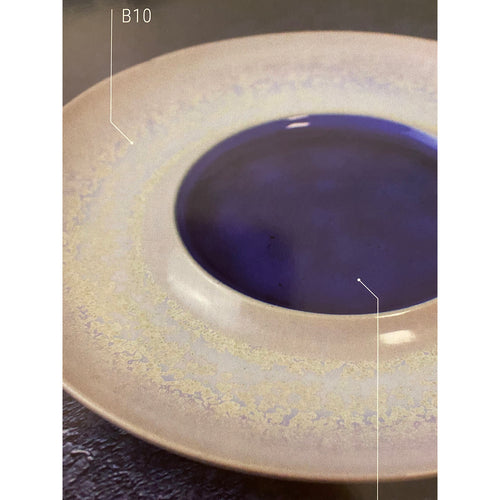 Bauscher Hepp 950091 Plate